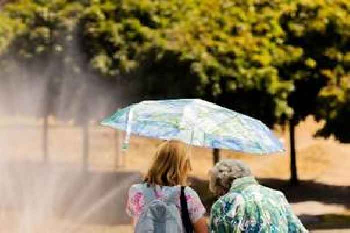 Fast 30 Grad: Es bleibt sommerlich in Bayern - News Deutschland