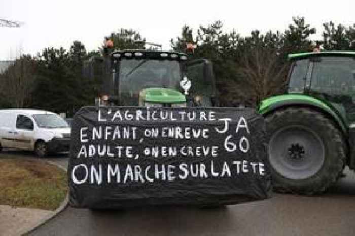 Bauernproteste in Frankreich weiten sich aus - eine Tote - News Deutschland